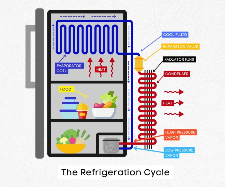 Freon Leak in Refrigerator: How to Detect and Fix It 🛠 5 Star Appliance ...