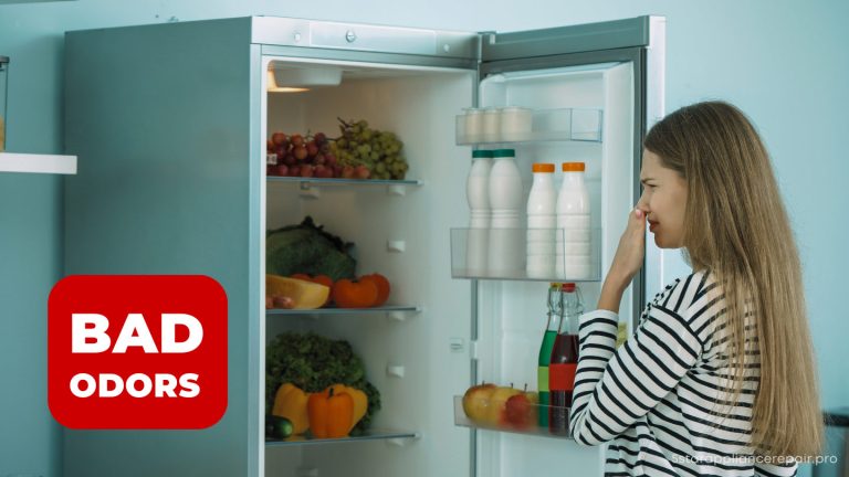 12 Common Sub-Zero Refrigerator Issues and Solutions: Troubleshooting Guide